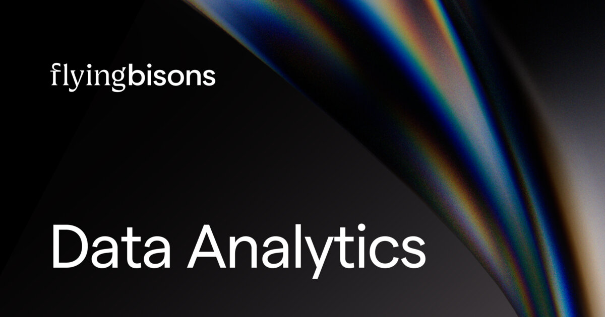 Data Analytics Services | Flying Bisons